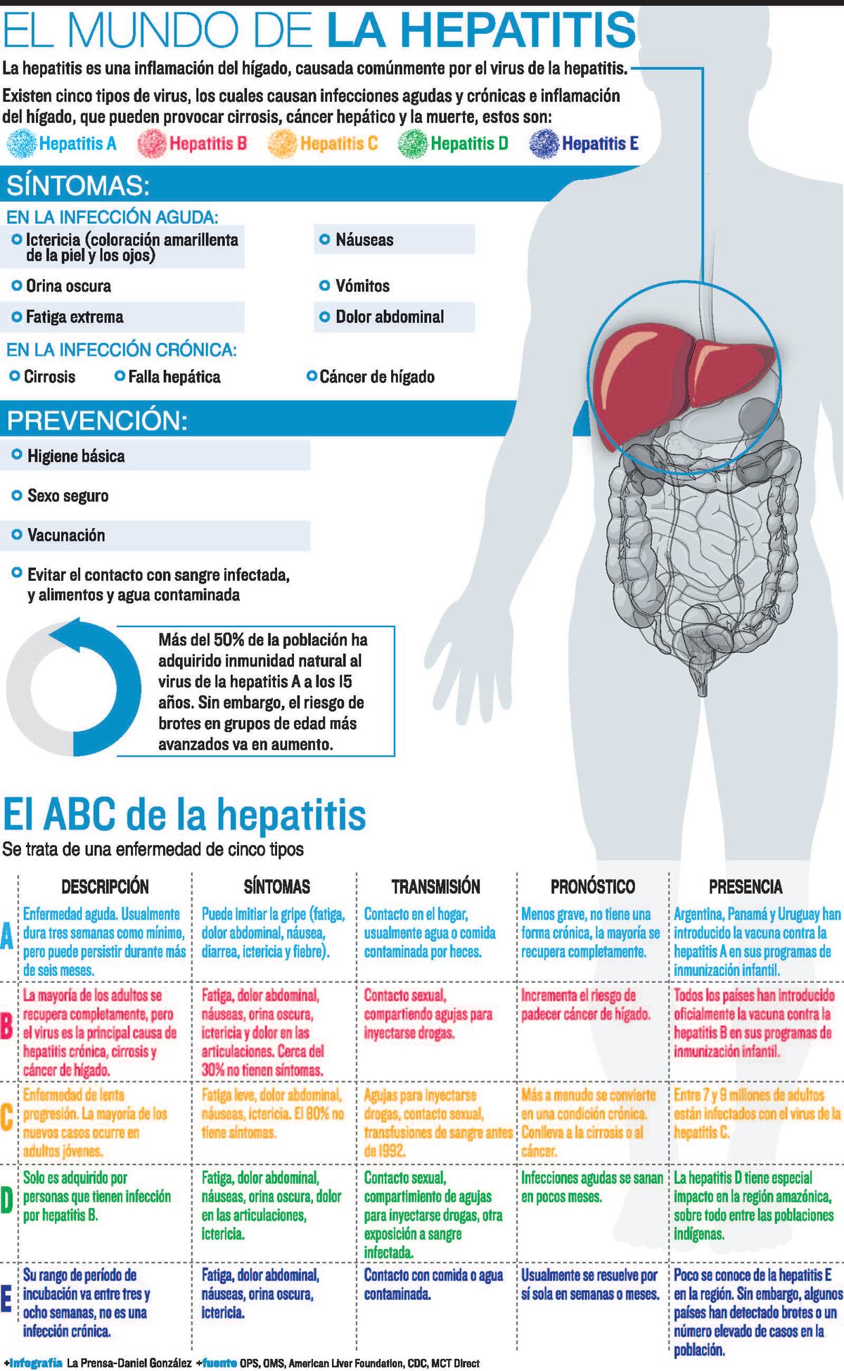 Tipos De Virus De La Hepatitis