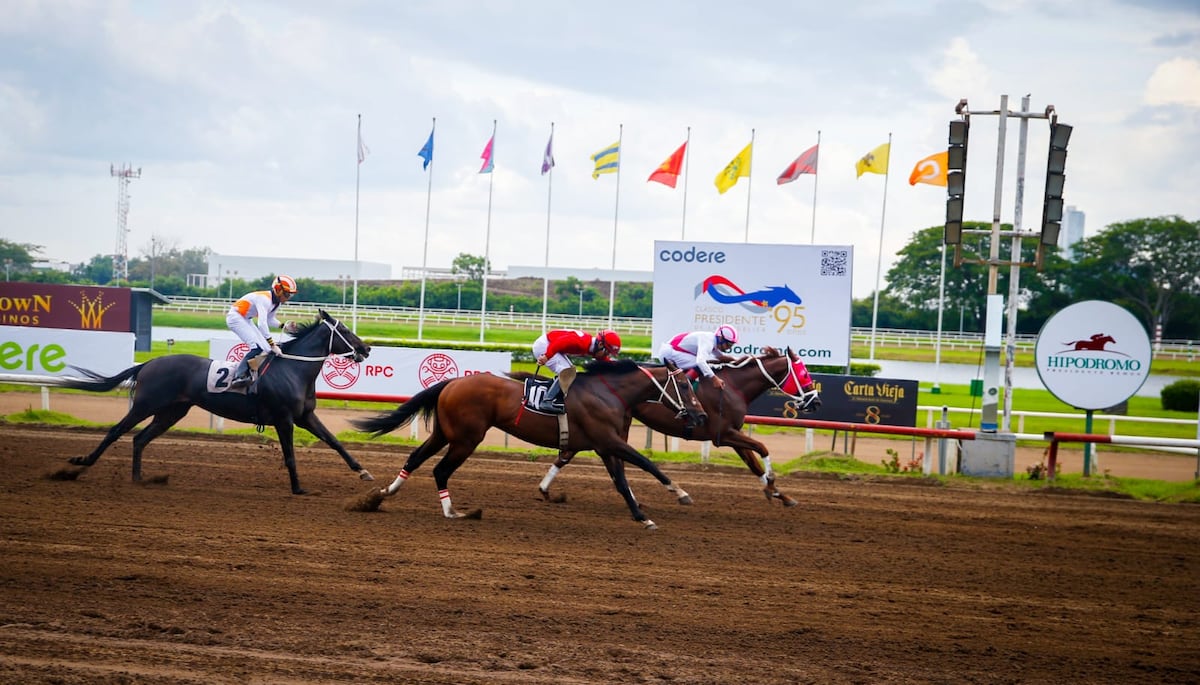 Bodock se corona en el Handicap ‘La Prensa’ - ‘Mi Diario’ | La Prensa ...