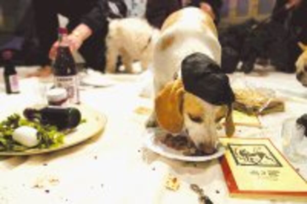 Los peligros de comer mal | La Prensa Panamá