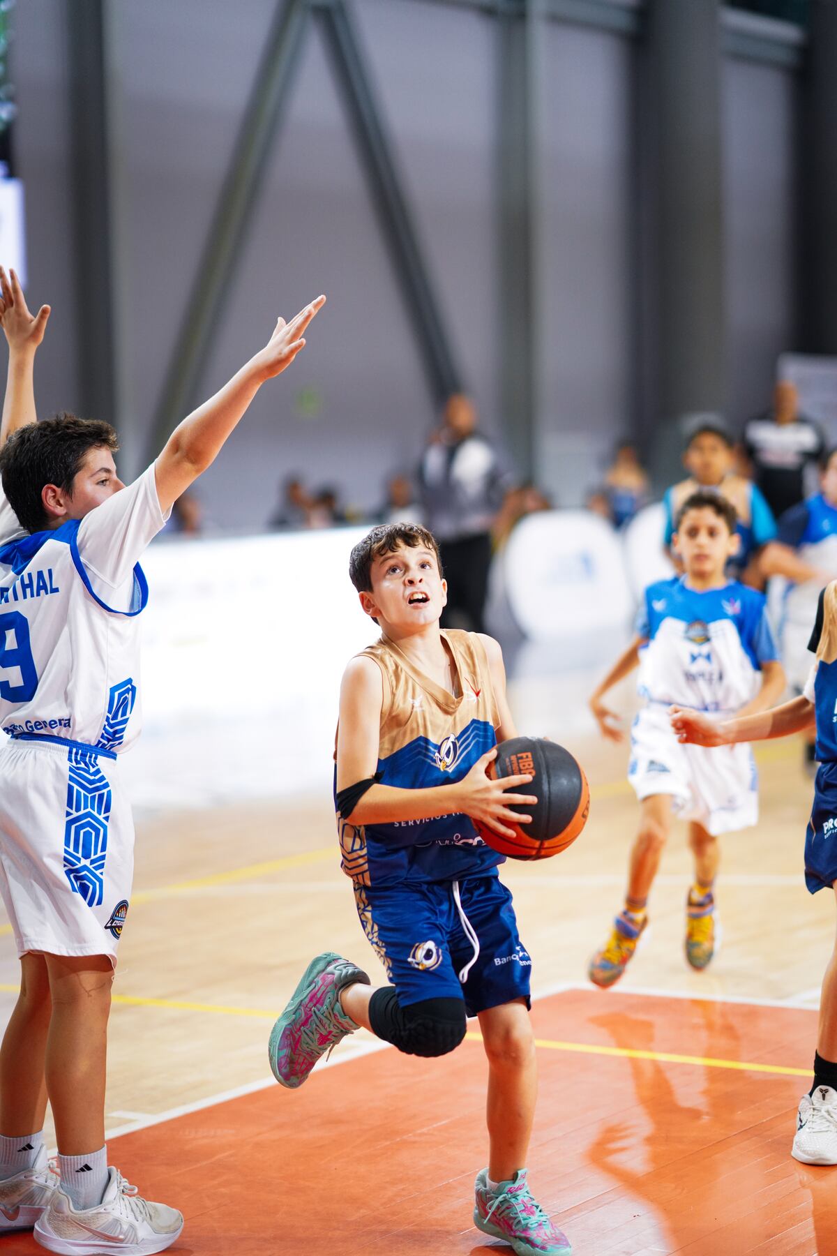 Los Fighting Owls de la AIP se coronaron campeones de Ludos en una ...