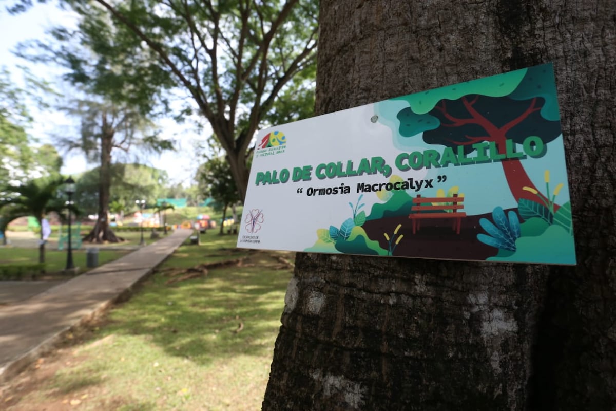 El parque Omar ahora es interactivo | La Prensa Panamá