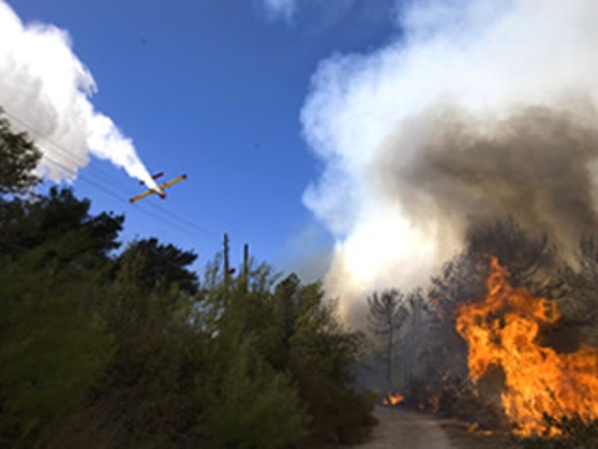 Incendio forestal en Israel sigue fuera de control | La Prensa Panamá