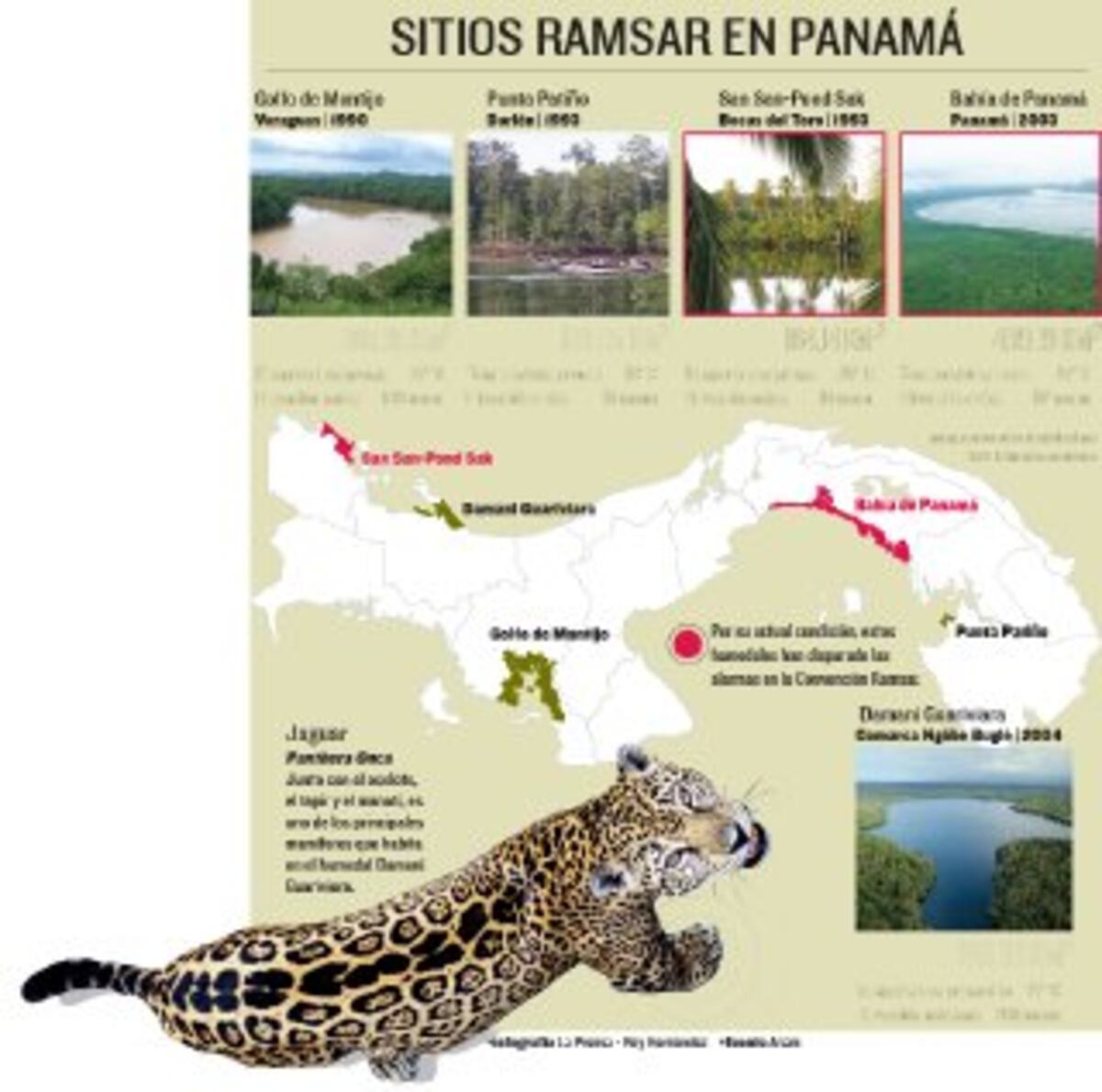 Sitios Ramsar están en peligro | La Prensa Panamá