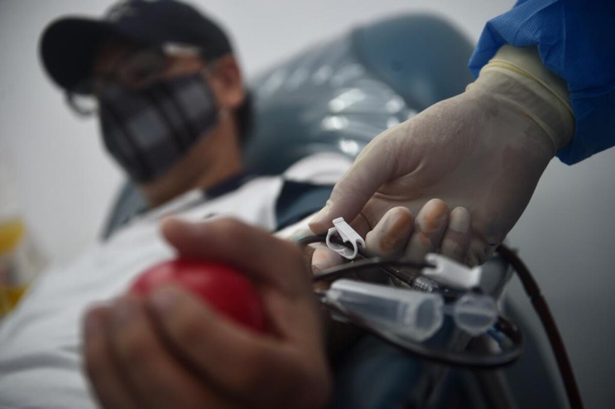 Donaciones de sangre en Dona Vida son estables | La Prensa Panamá