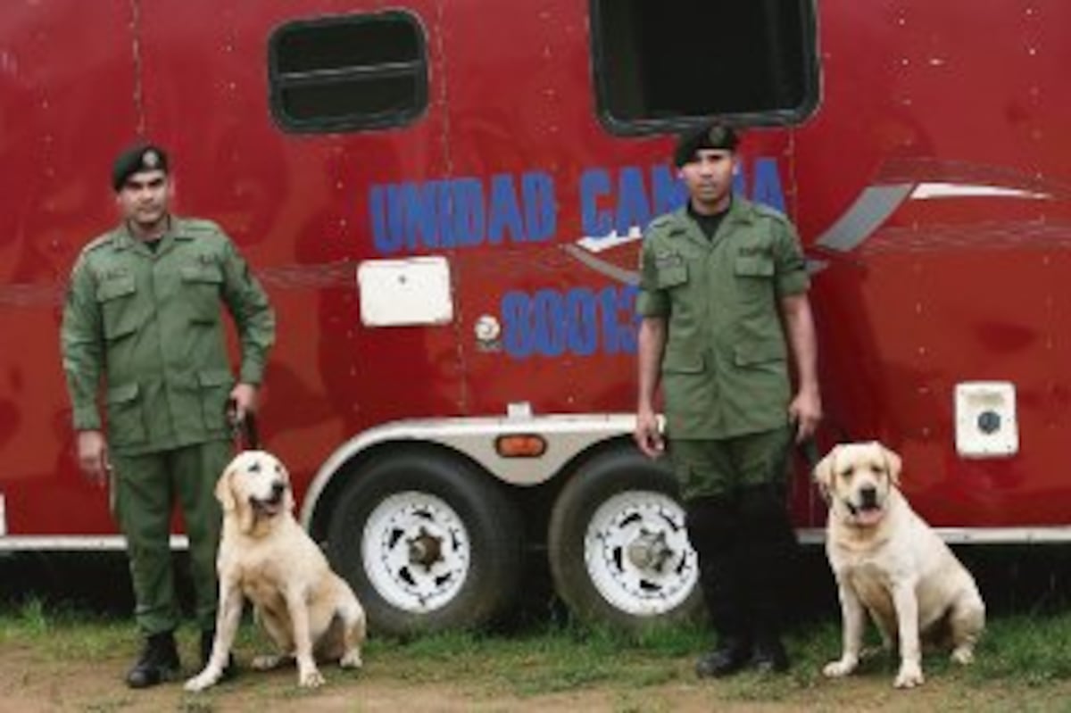 Huellas del ‘poder perruno’ | La Prensa Panamá