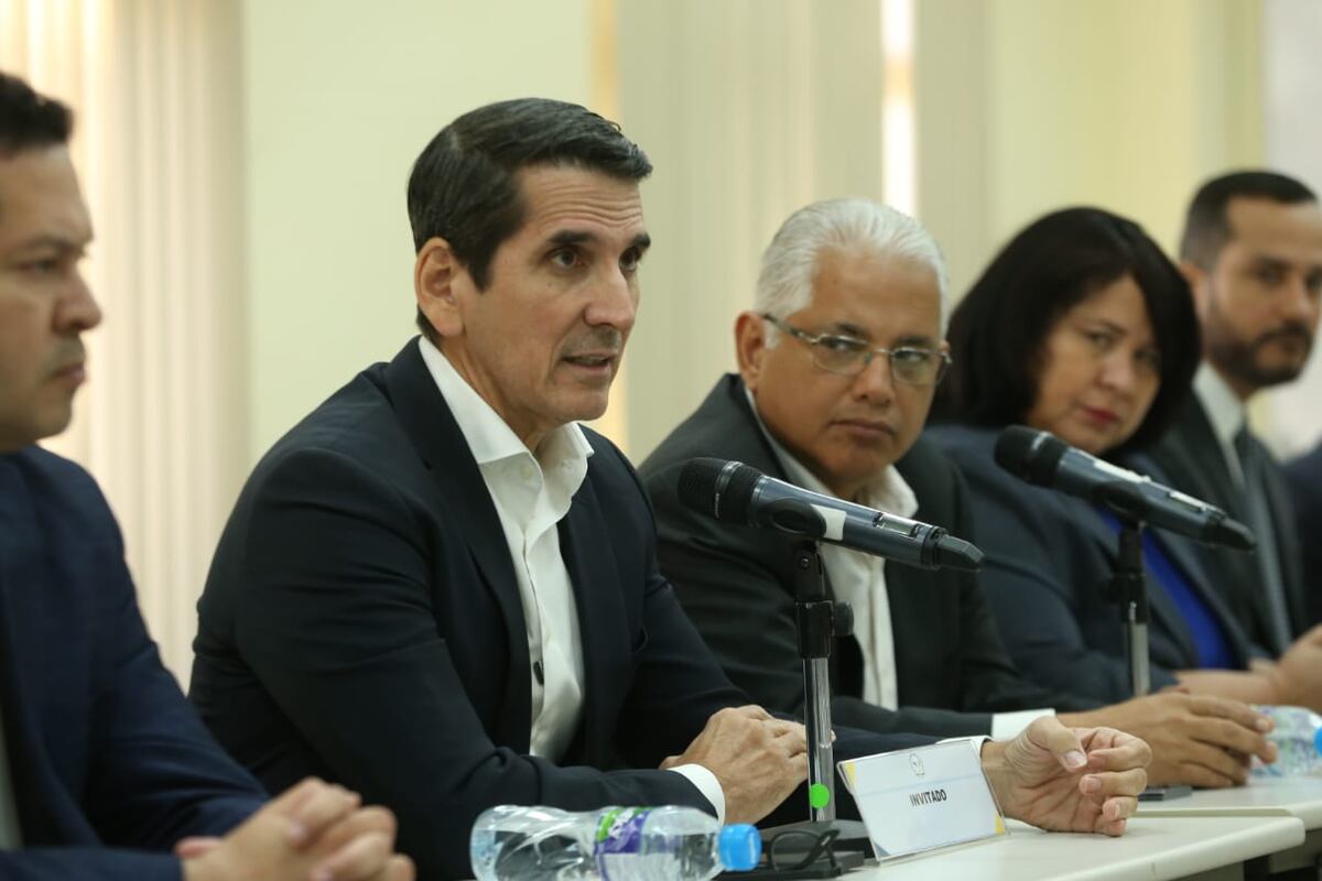 Roux reafirma su compromiso de convocar a una asamblea constituyente ...