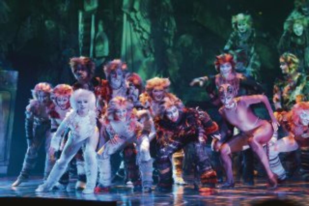 ‘Cats’ está en Panamá | La Prensa Panamá