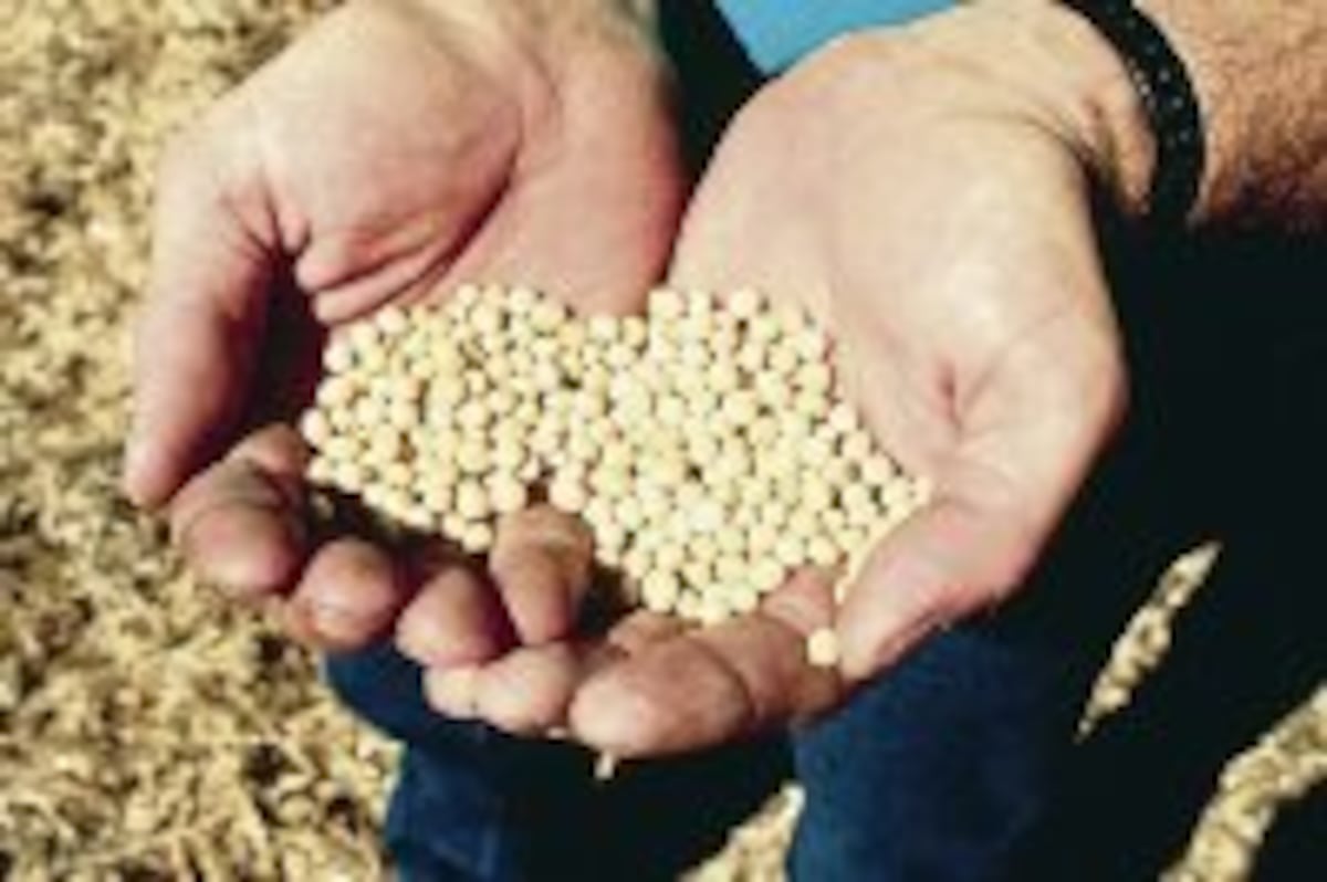 Monsanto y Syngenta se alían | La Prensa Panamá