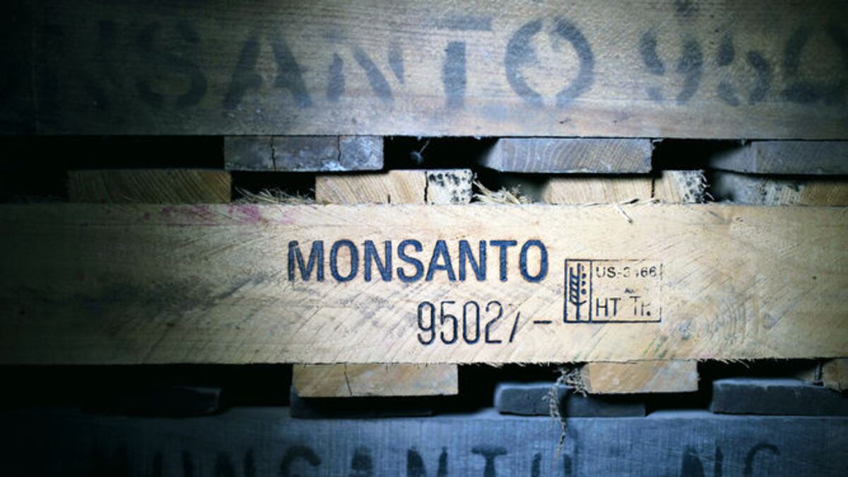 Monsanto mantiene interés en Syngenta | La Prensa Panamá