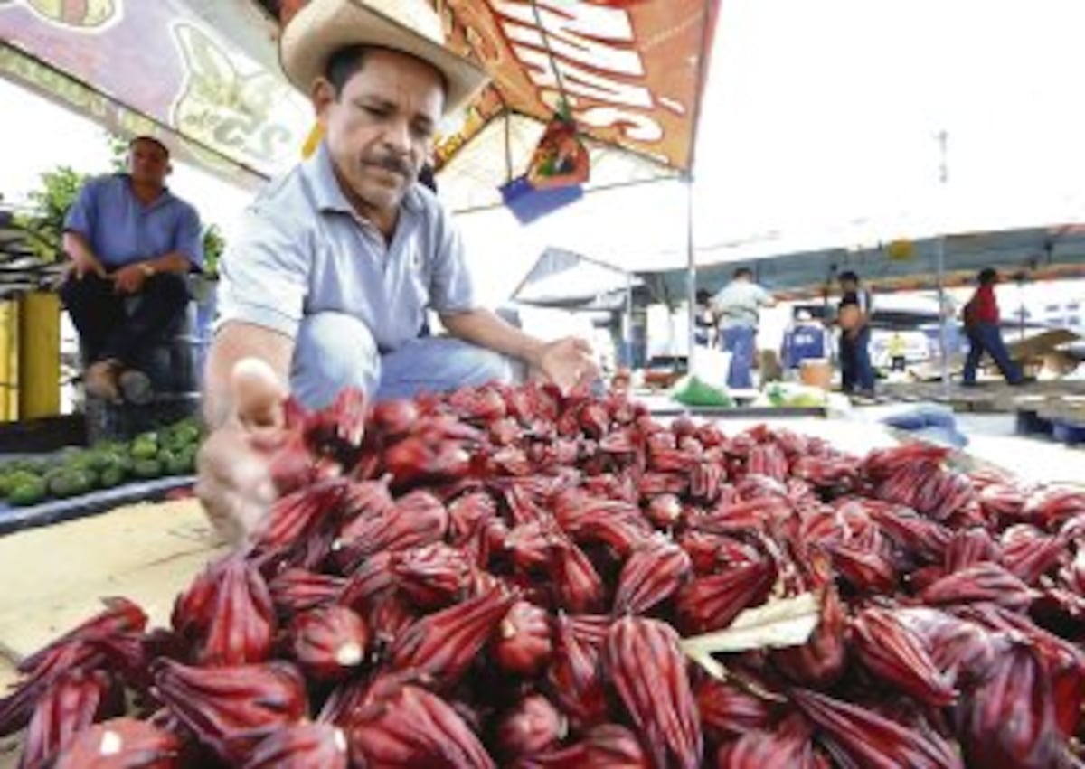 Llegó la temporada del saril | La Prensa Panamá