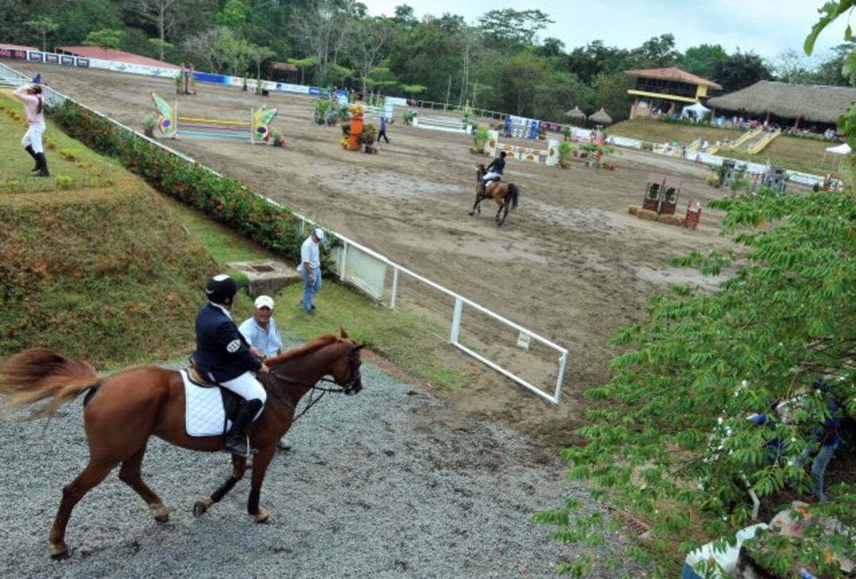 Construyen la primera escuela de equitación del caballo andaluz en ...