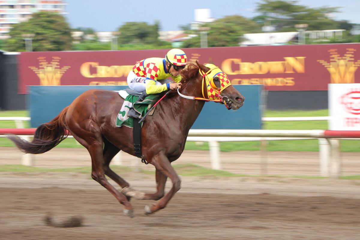 Los ejemplares nacionales dicen presente en el Clásico Presidente de la ...