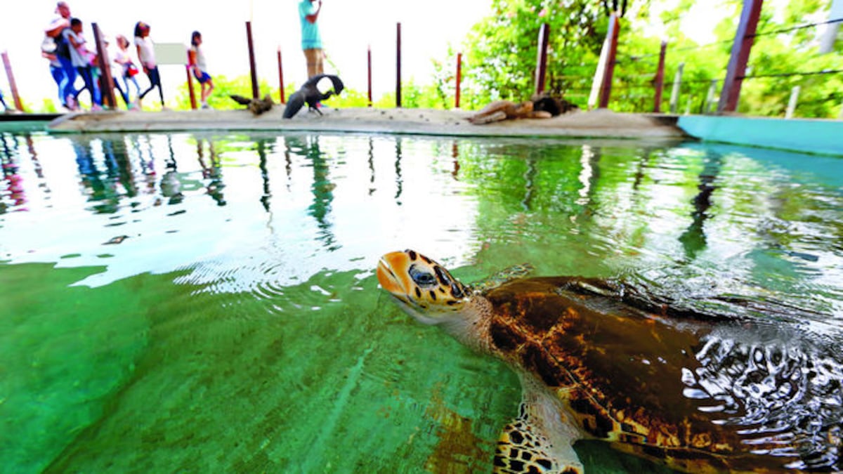 Centro Natural Punta Culebra, para acercarse a la naturaleza | La ...