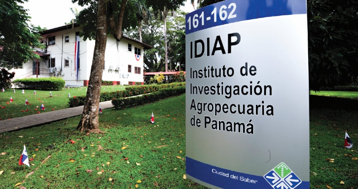 Idiap cambiará de nombre y ampliará su radio operativo | La Prensa Panamá