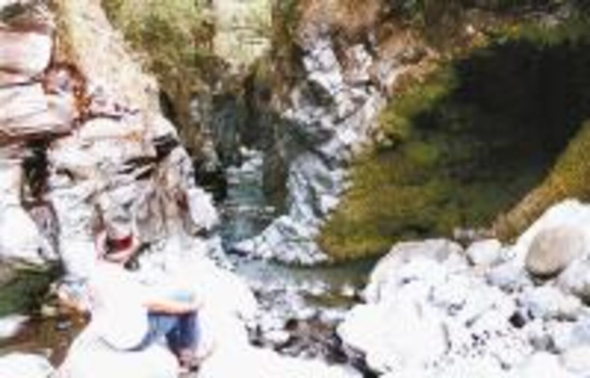 Cañón Macho de Monte | La Prensa Panamá