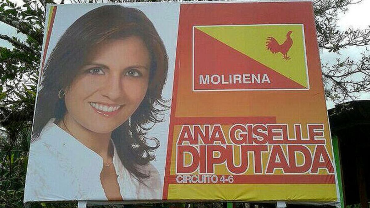 Piden al TE retirar papeleta de partido Molirena de elecciones en el 4 ...