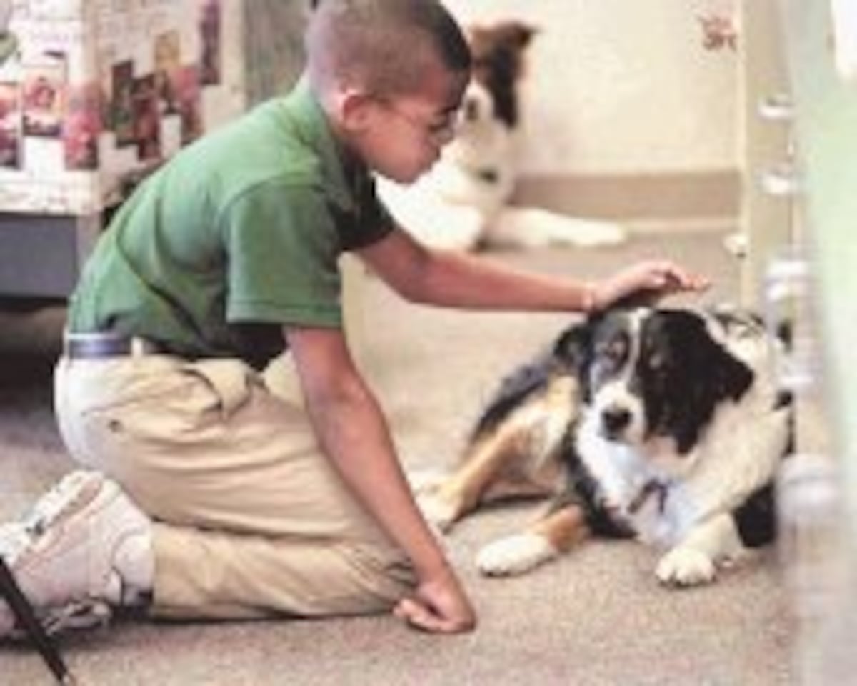 Papi, ¡quiero un perro! | La Prensa Panamá