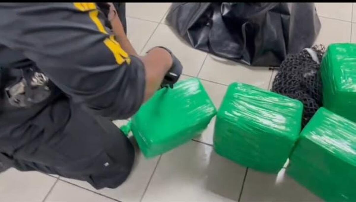 Decomisan drogas, armas, dinero en efectivo y unas 200 personas son aprehendidas en operativos ...