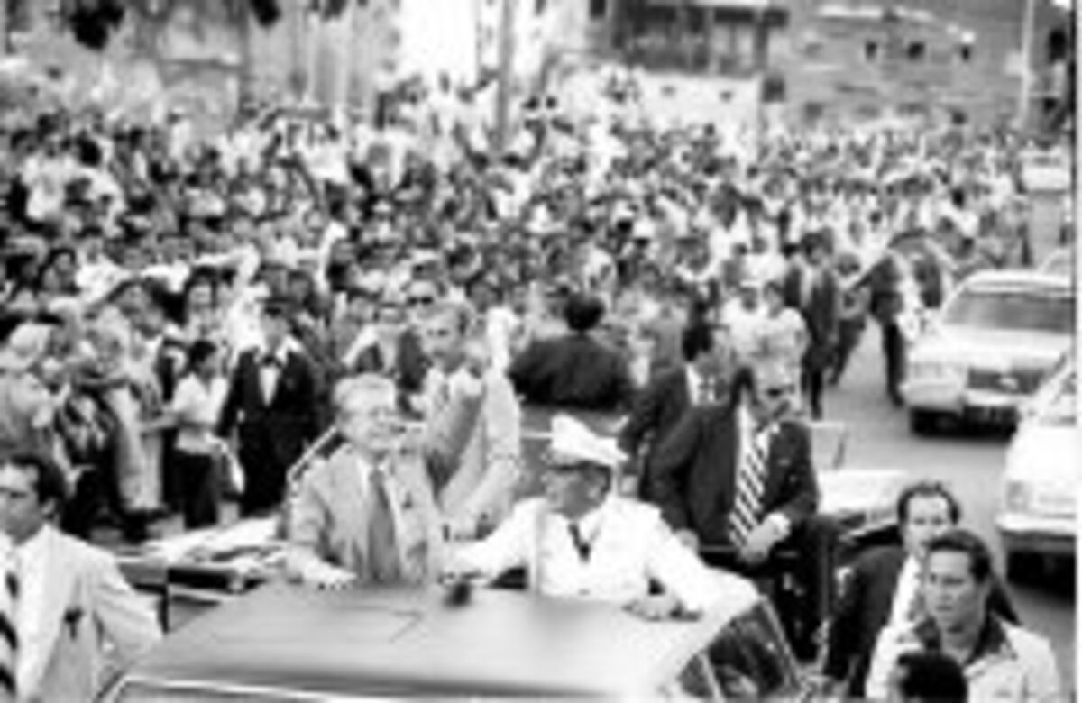 El cruce de mula y tigre | La Prensa Panamá