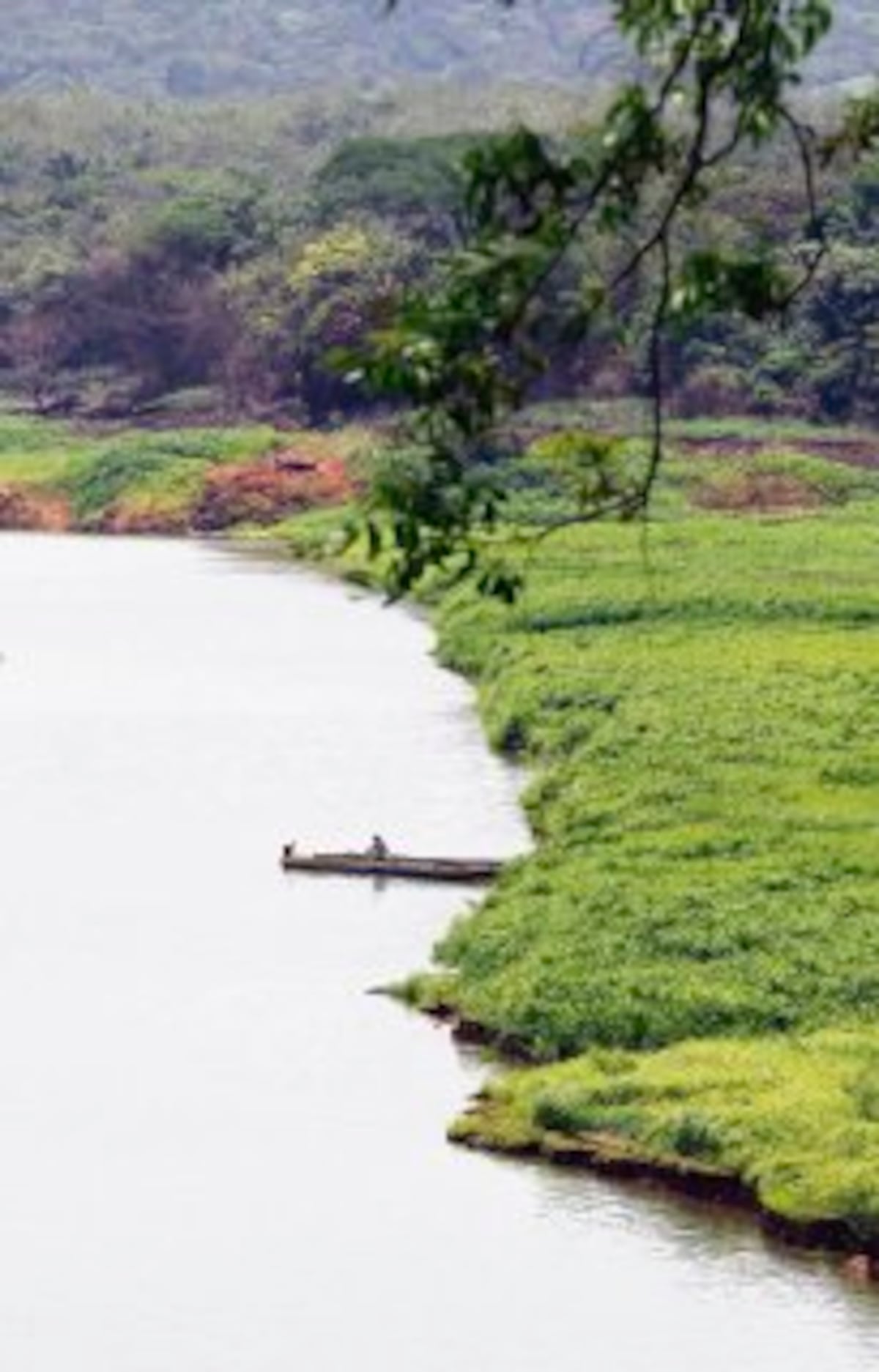 Desarrollo sostenible en el lago Alajuela | La Prensa Panamá