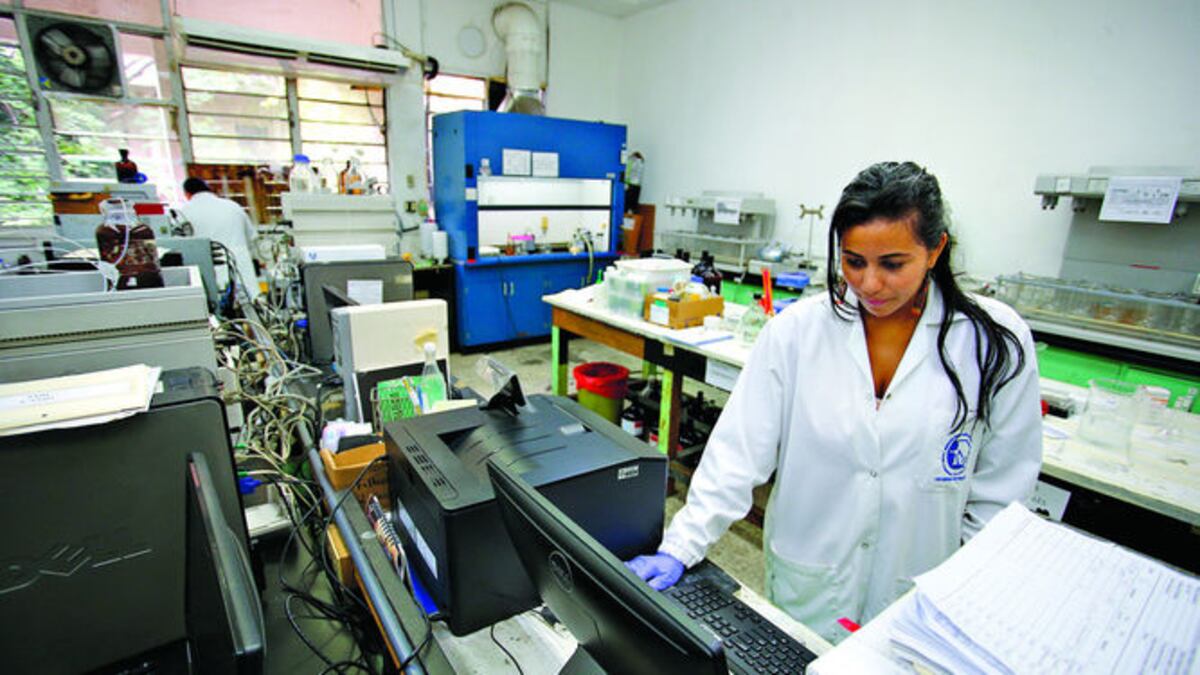 IEA requiere más apoyo económico | La Prensa Panamá