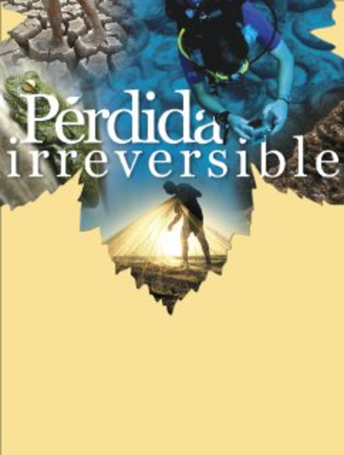 Pérdida irreversible | La Prensa Panamá