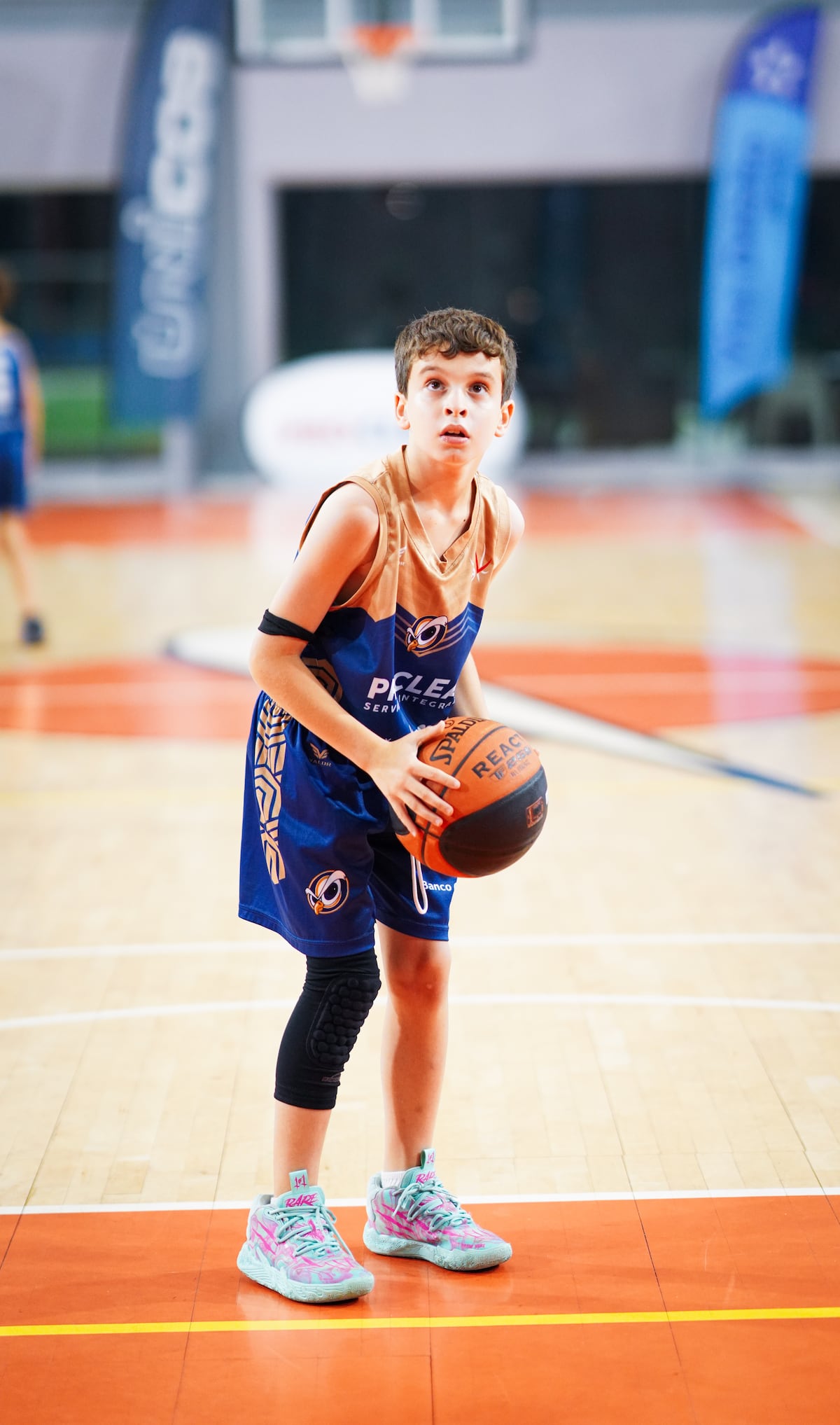 Los Fighting Owls de la AIP se coronaron campeones de Ludos en una ...